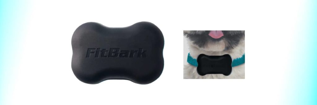 Best Cat GPS Trackers and Collars