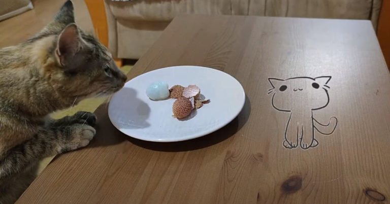 What Happens if a Cat Eats a Cockroach?